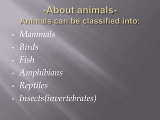 Description of Animals | PPT