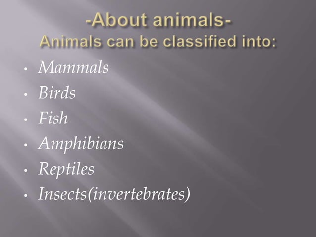 Description of Animals | PPTX