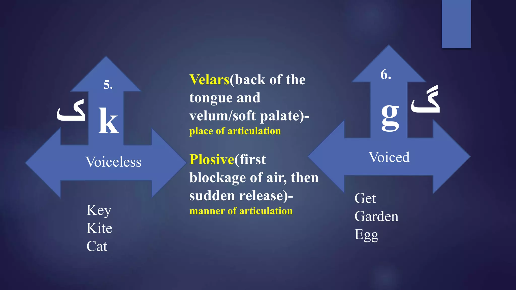 Description of consonants-phonetics and Phonology.pptx