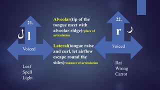 Description of consonants-phonetics and Phonology.pptx