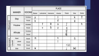 Description of consonants-phonetics and Phonology.pptx