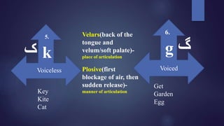Description of consonants-phonetics and Phonology.pptx