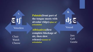 Description of consonants-phonetics and Phonology.pptx