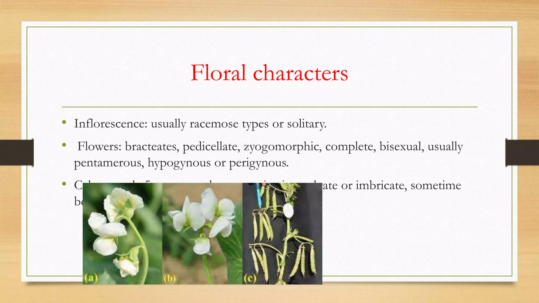 Description of family fabaceae | PPTX