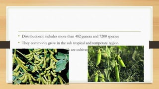 Description of family fabaceae | PPTX