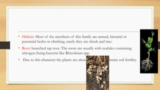 Description of family fabaceae | PPTX