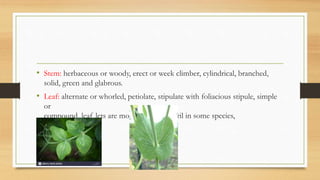 Description of family fabaceae | PPTX