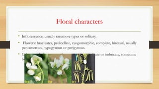 Description of family fabaceae | PPTX