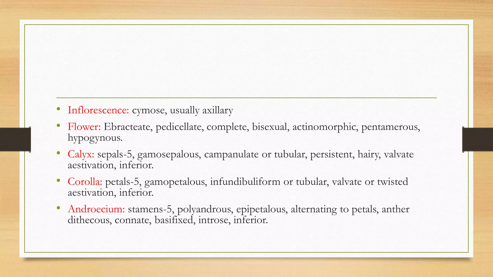 Description of family solanaceae in semi technical term/class11 bilogy ...