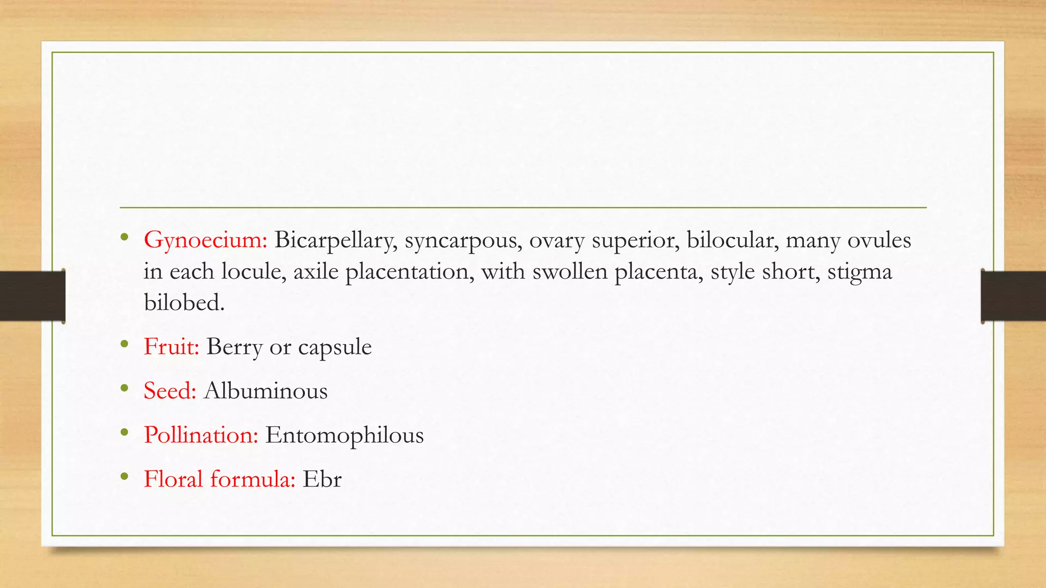 Description of family solanaceae in semi technical term/class11 bilogy ...