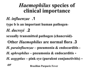 Description of Haemophilus species .pptx