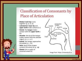 Description of sounds | PPT