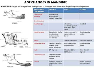 The mandible at different ages and importance of proximal spaces | PPTX