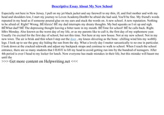 Descriptive Essay About My New School.ppt