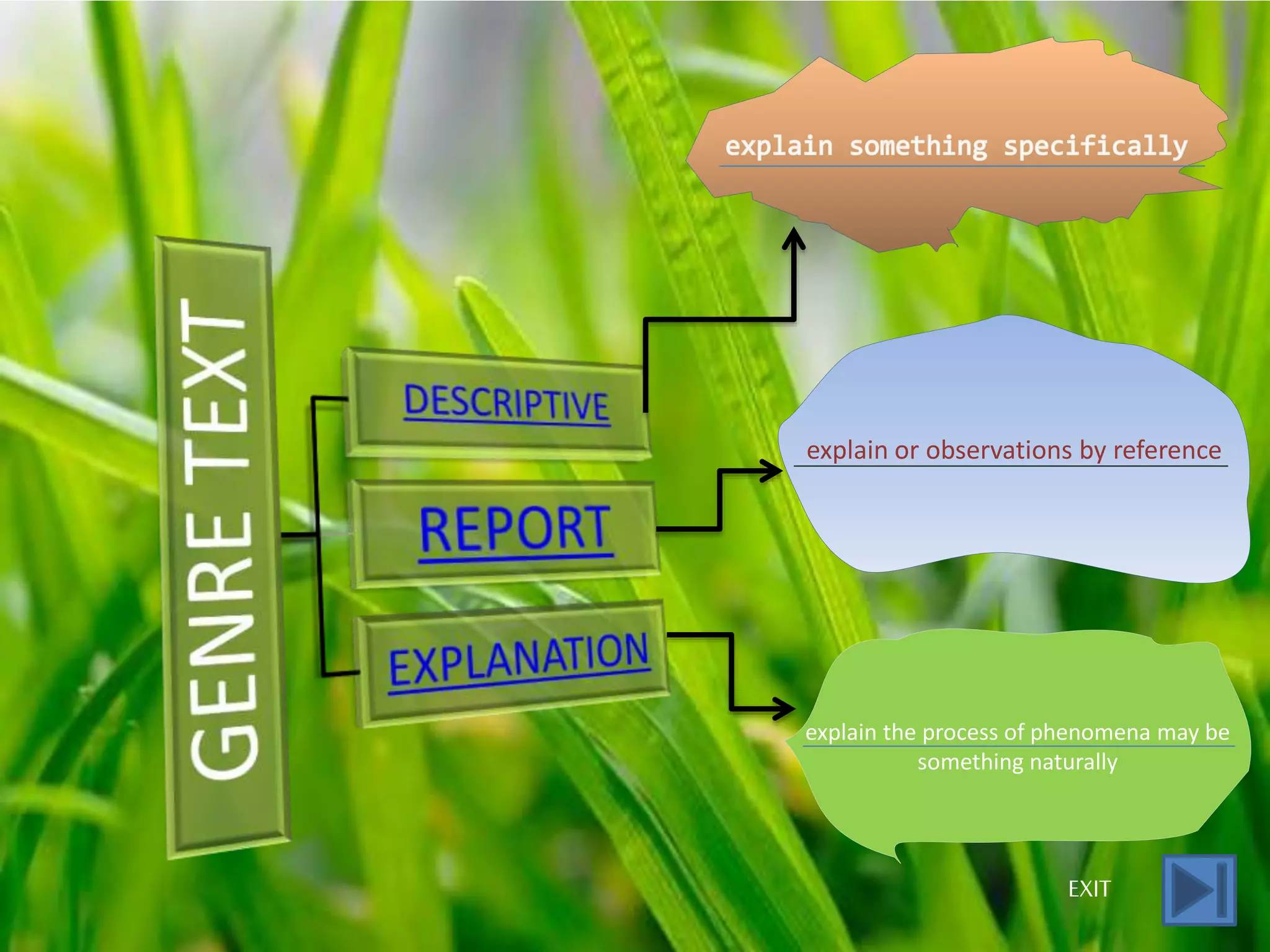 Descriptive, report, explnation | PPT