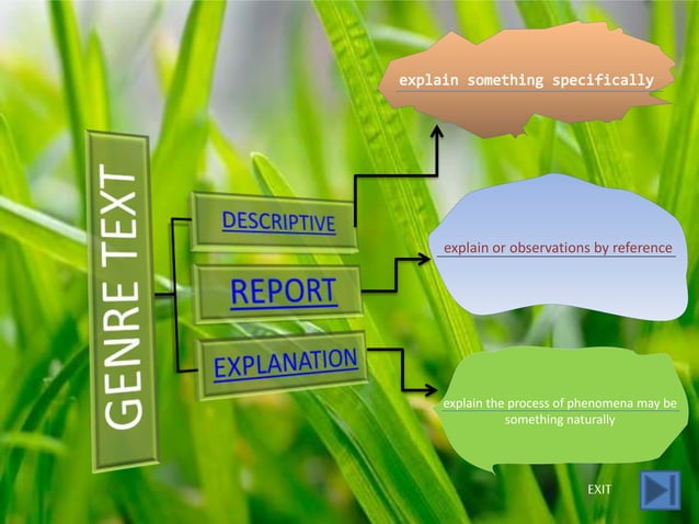 Descriptive, report, explnation | PPT