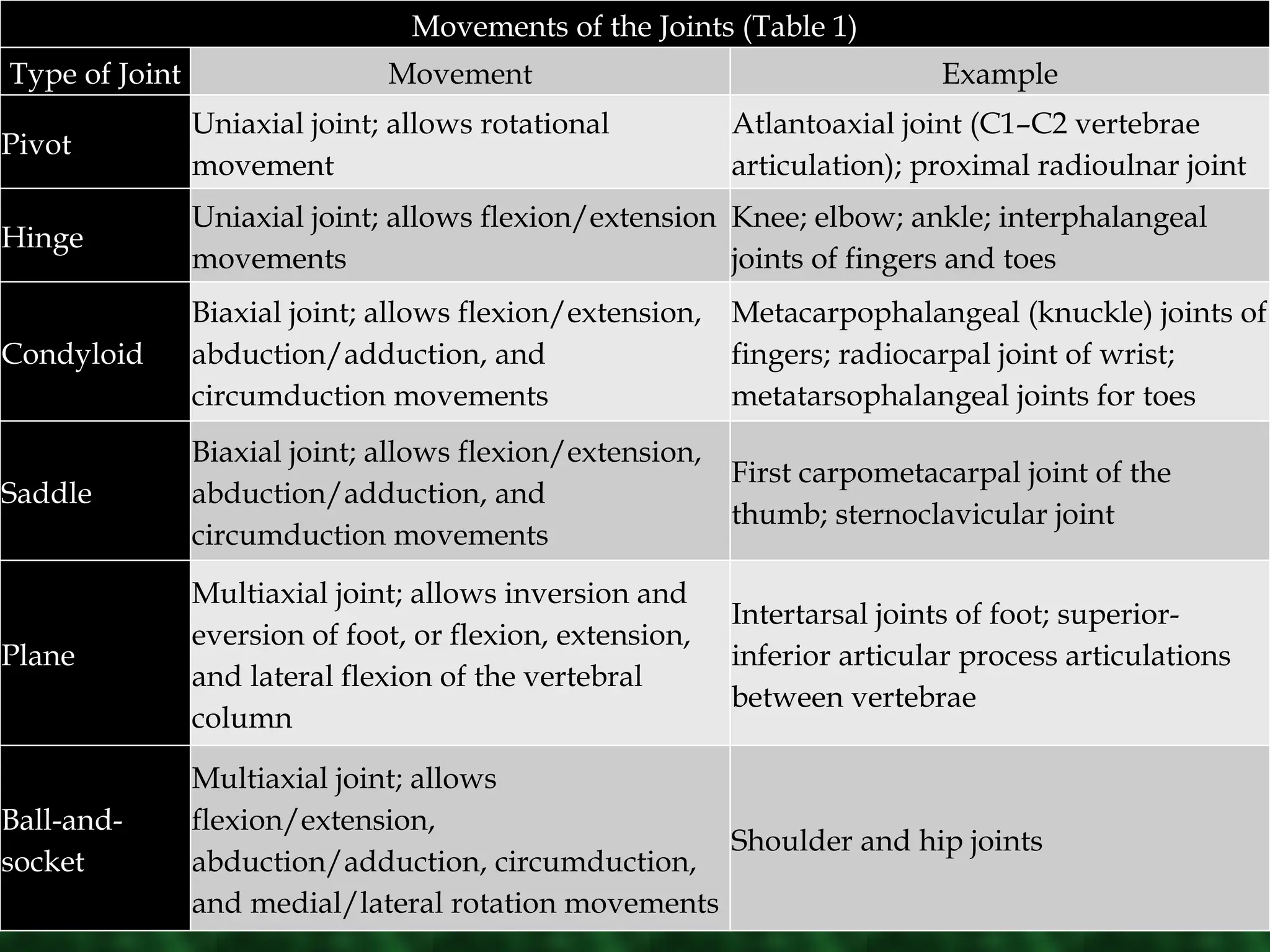 Descriptive terms of the bones, muscles and joints.ppt