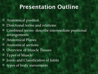 Descriptive terms of the bones, muscles and joints.ppt