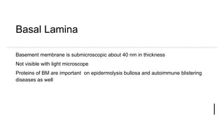 Descriptive terms of dermatopathology | PPTX