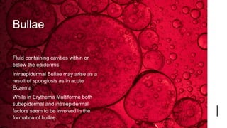 Descriptive terms of dermatopathology | PPTX