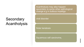 Descriptive terms of dermatopathology | PPTX