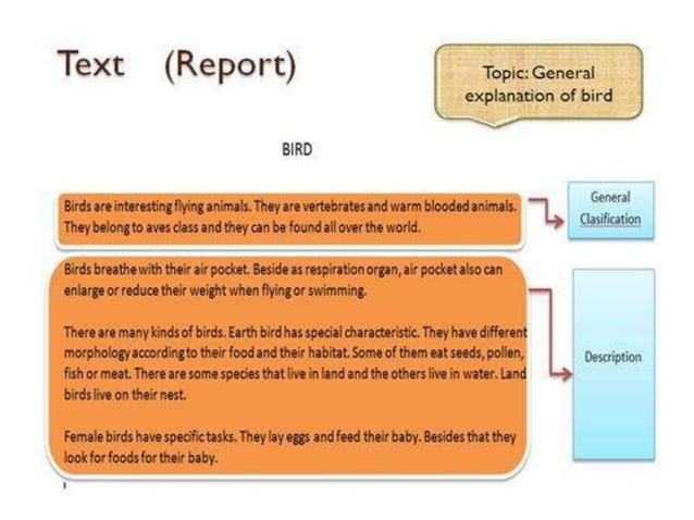 Descriptive text | PPT