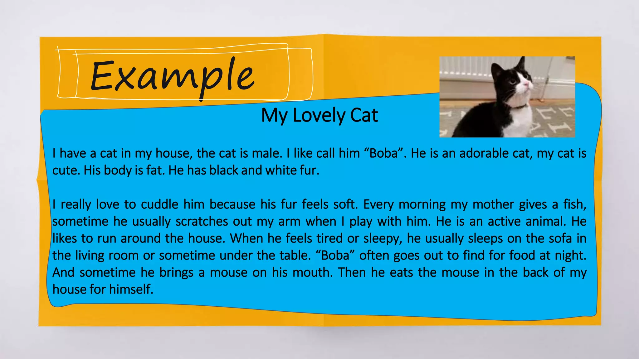 Descriptive Text.pptx