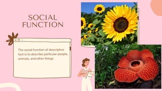 Descriptive Text.pdf