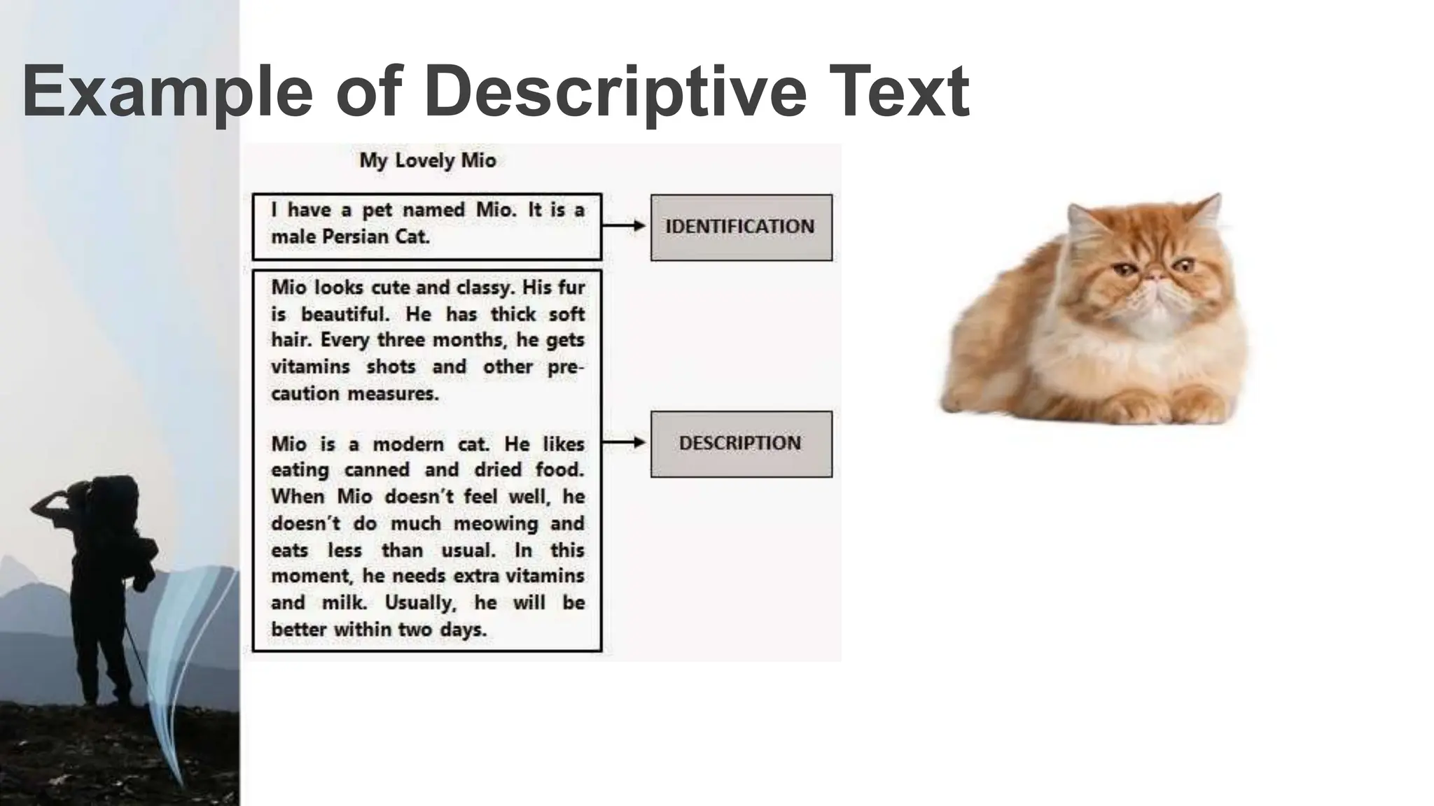 English for nursing students: Descriptive Text | PPT