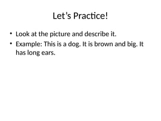 Let’s learn how to describe people, animals, and things! | PPTX
