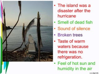 Descriptive Writing | PPT