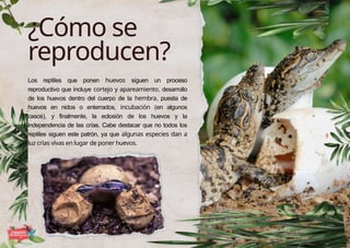 ¡Descubriendo a los Reptiles en preescolar!.pptx