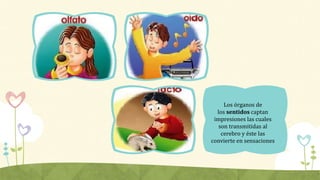 Descubriendo mis sentidos | PPT