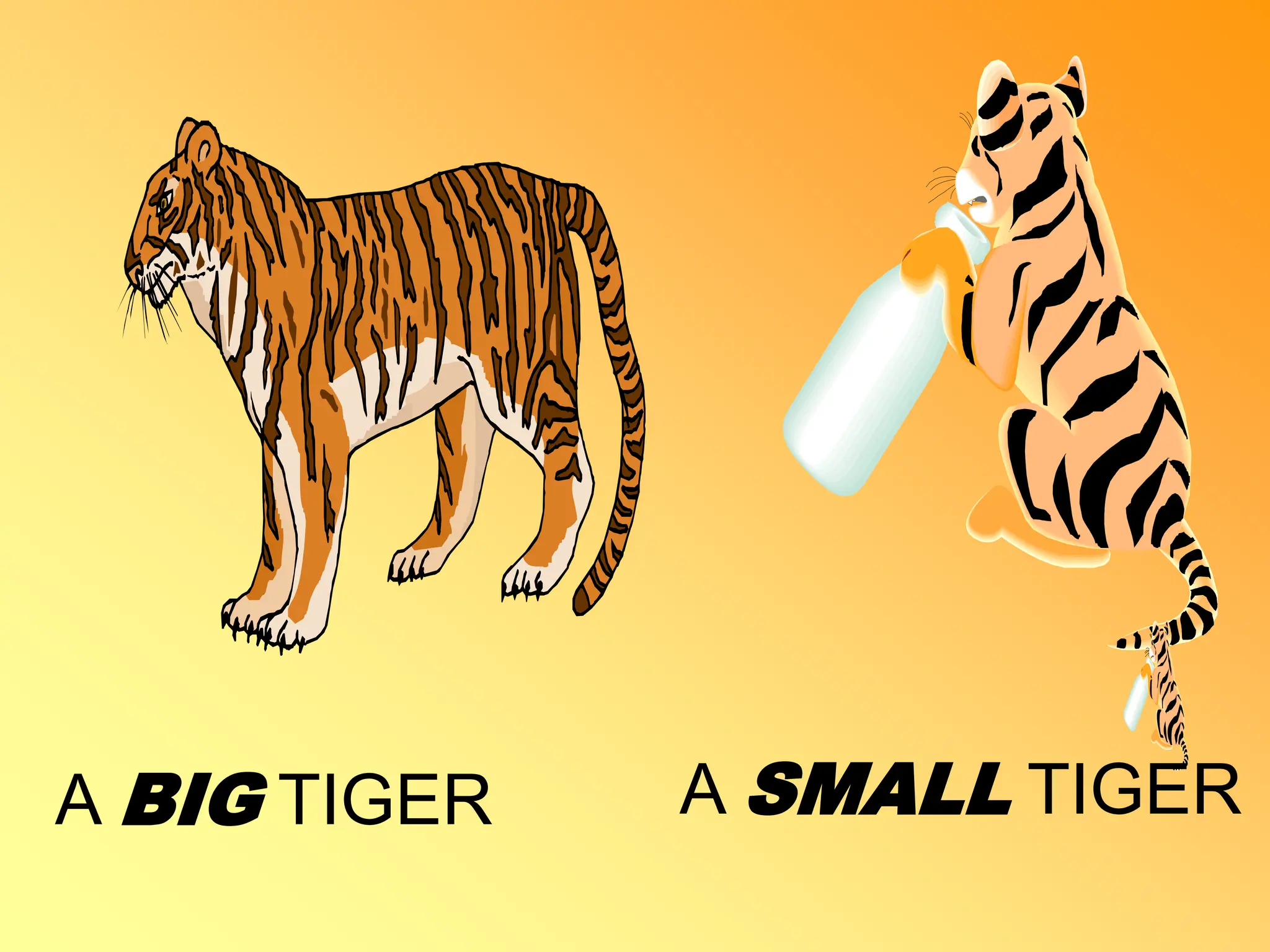 Describing word- Adjectives for class1 to 5 | PPT