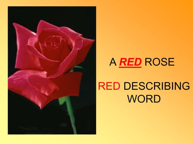 Describing word- Adjectives for class1 to 5 | PPT