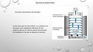 Desecación de medicamentos humedos..pptx