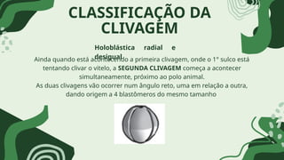Desenveolvimento Embrionário dos Anfíbios - Embriologia Comparada ...