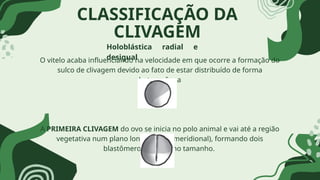 Desenveolvimento Embrionário dos Anfíbios - Embriologia Comparada ...