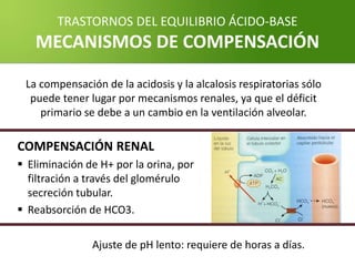 desequilibrio acido baseEE Y TEORIA ACIDO BASICO DE STEWART | PPTX