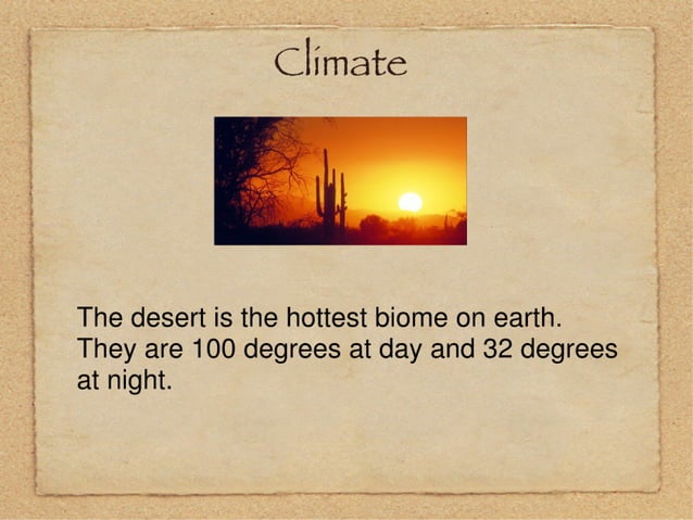 Desert | PPT