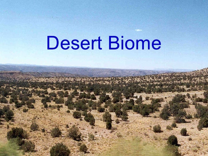 Desert Biome Climate