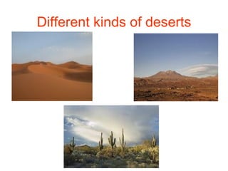 Desert | PPT