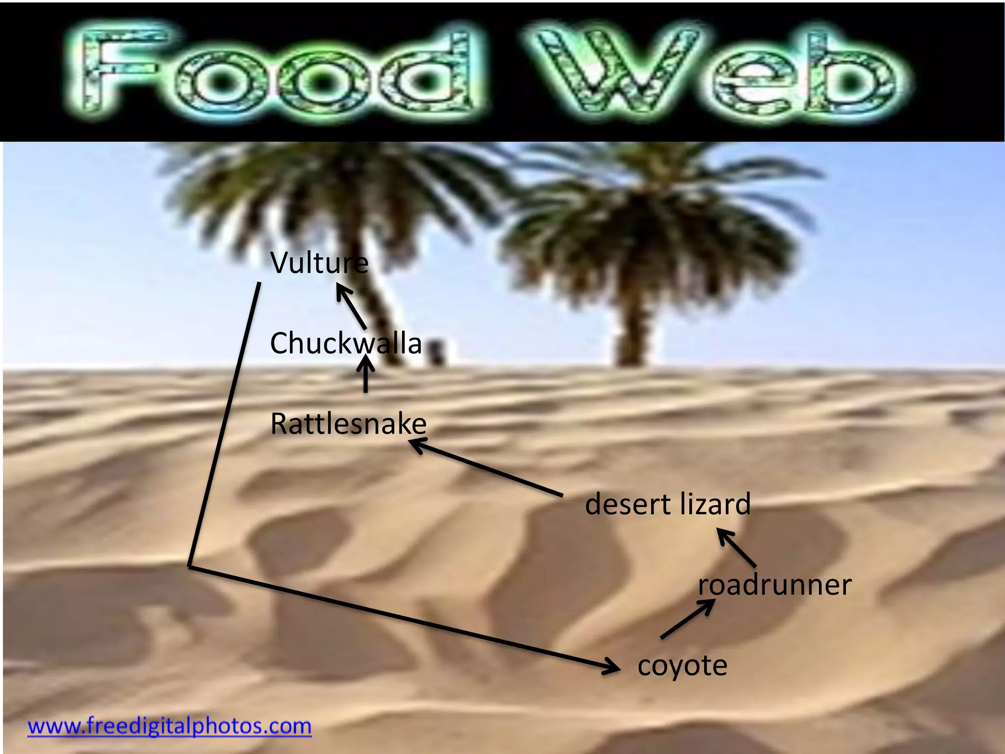 Desert caitlin | PPTX | Geography | Science