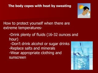 Desert | PPT | Weather | Science