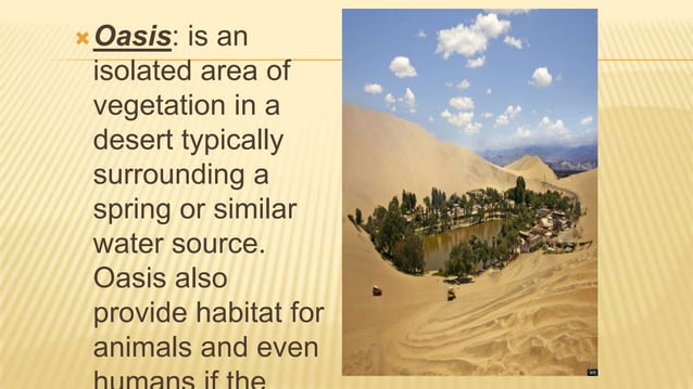 Desert, types of desert, land forms, dunes and types of dunes | PPTX