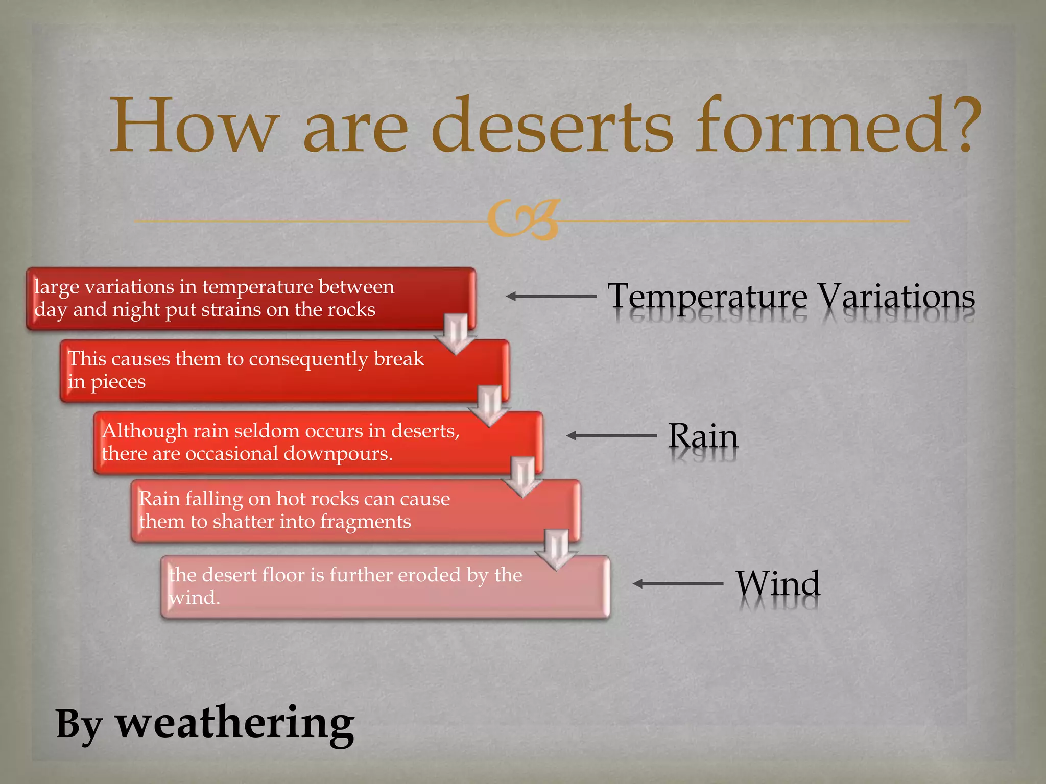 Desert Presentation | PPTX