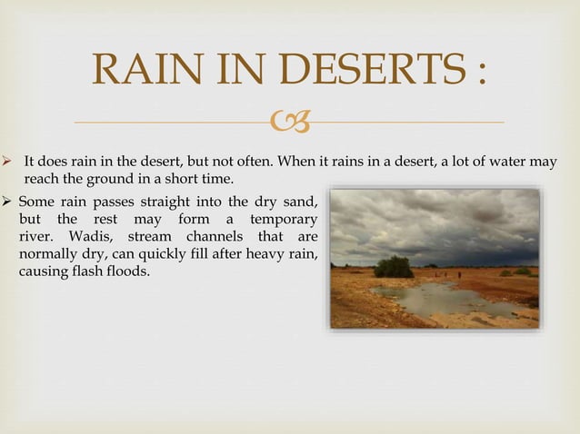 Desert Presentation | PPT