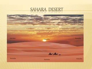 PROJECT (PPT) ON DESERT WITH PHOTOS AND SOME WRITTEN TEXT FOR CLASS 8TH ...