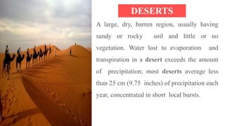 DESERT | PPTX
