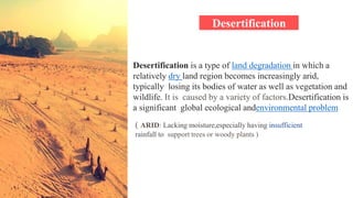 DESERT | PPTX